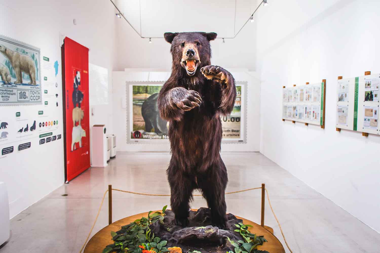 SALA DE EXPLORACIÓN – MUFI